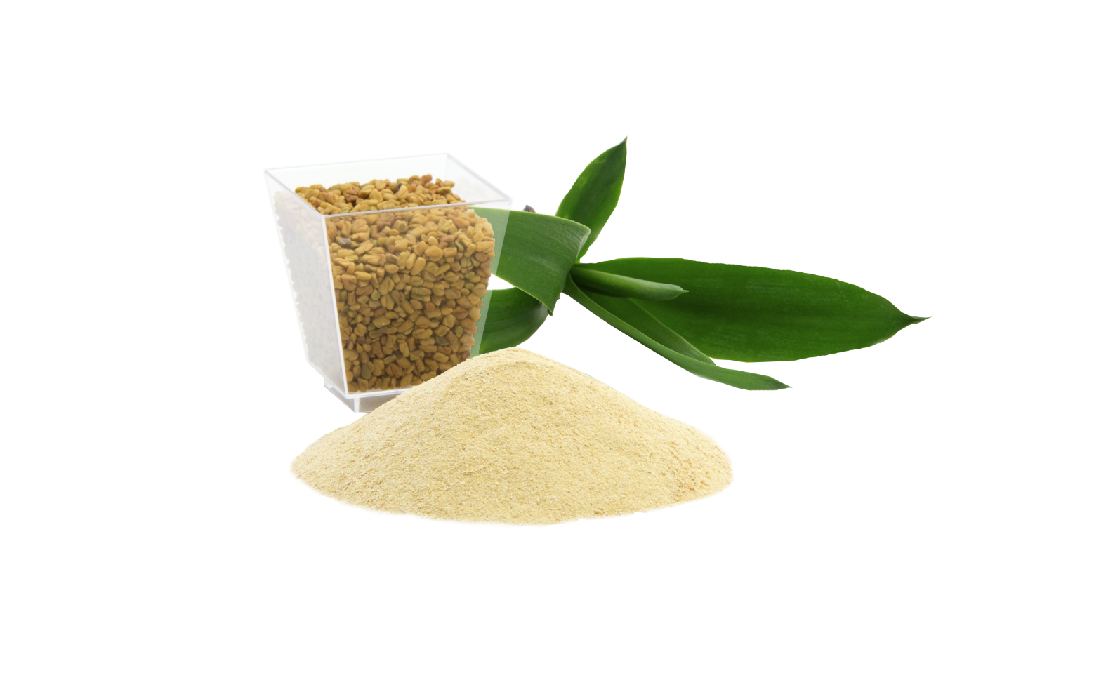 Norponin® XO as efficient as fermentation coccidiostats for ...