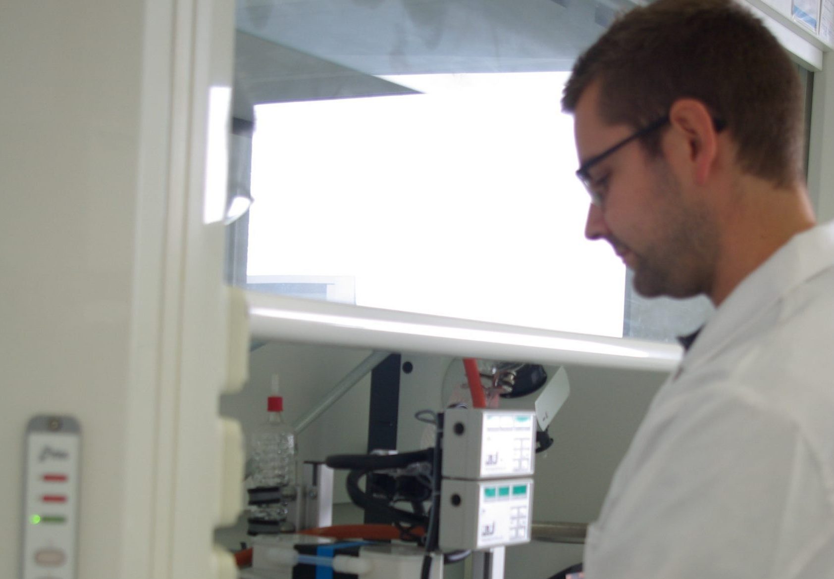 Natural and standardized plant extracts