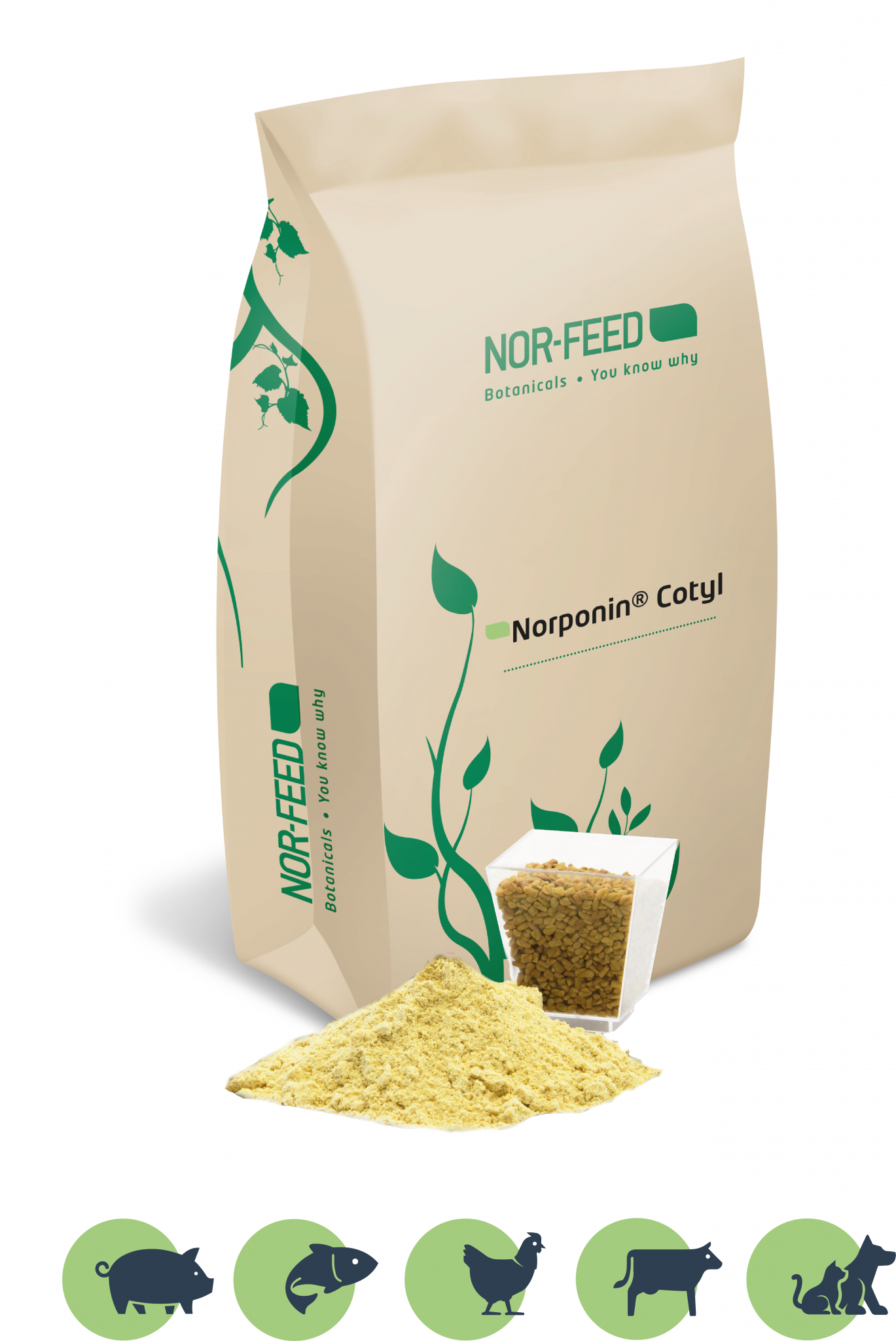 Nor-Feed | Increase feed palatability in livestock
