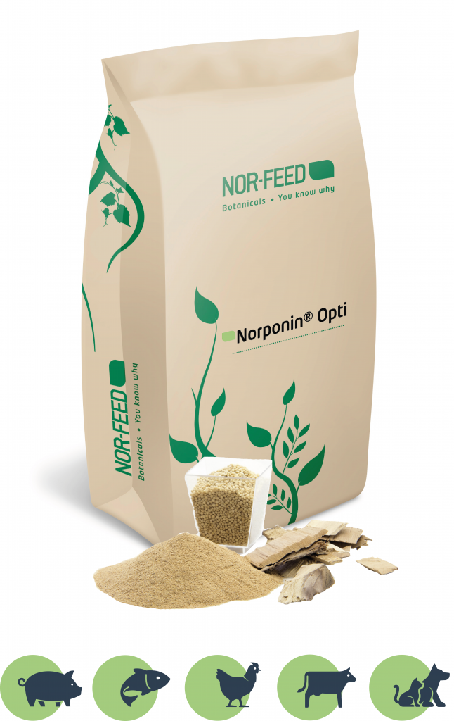 Nor-Feed | Reducing ammonia emissions in livestock