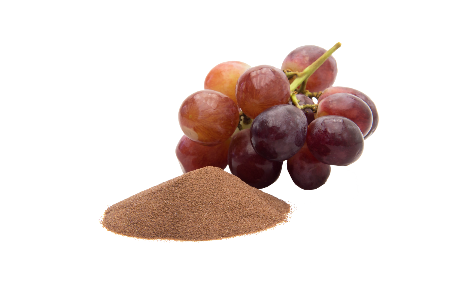 Resistant capacity of the encapsulated grape extract during ruminal ...